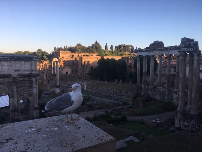 PASSEGGIATE GUIDATE SERALI FORI IMPERIALI